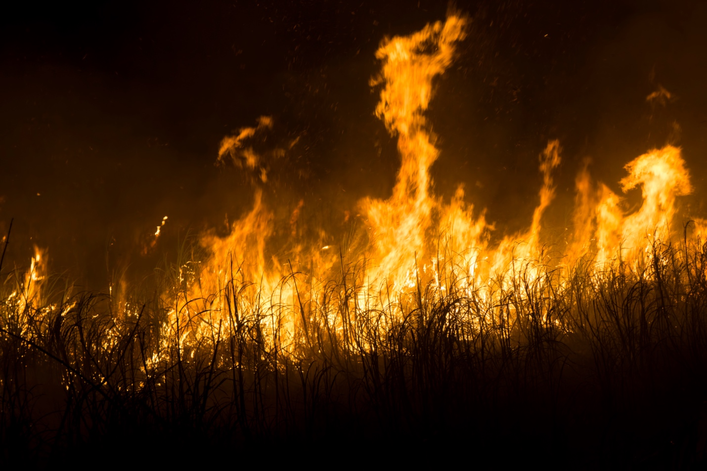 Will Burn Pit Veterans Finally Receive VA Disability Compensation and ... Will Burn Pit Veterans Finally Receive VA Disability Compensation and ...